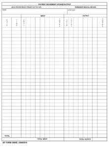AF Form 3899E – Patient Movement Intake/Output - AF Forms