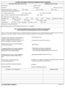 AF Form 3899G - Patient Movement Restraint Observation Flowsheet - AF Forms