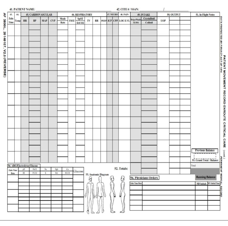 AF Form 3899L - Patient Movement Record En Route Critical Care - AF Forms